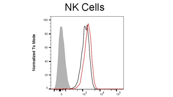 Anti-NKp80 Antibody, clone 5D12 | MABF2223-25UG